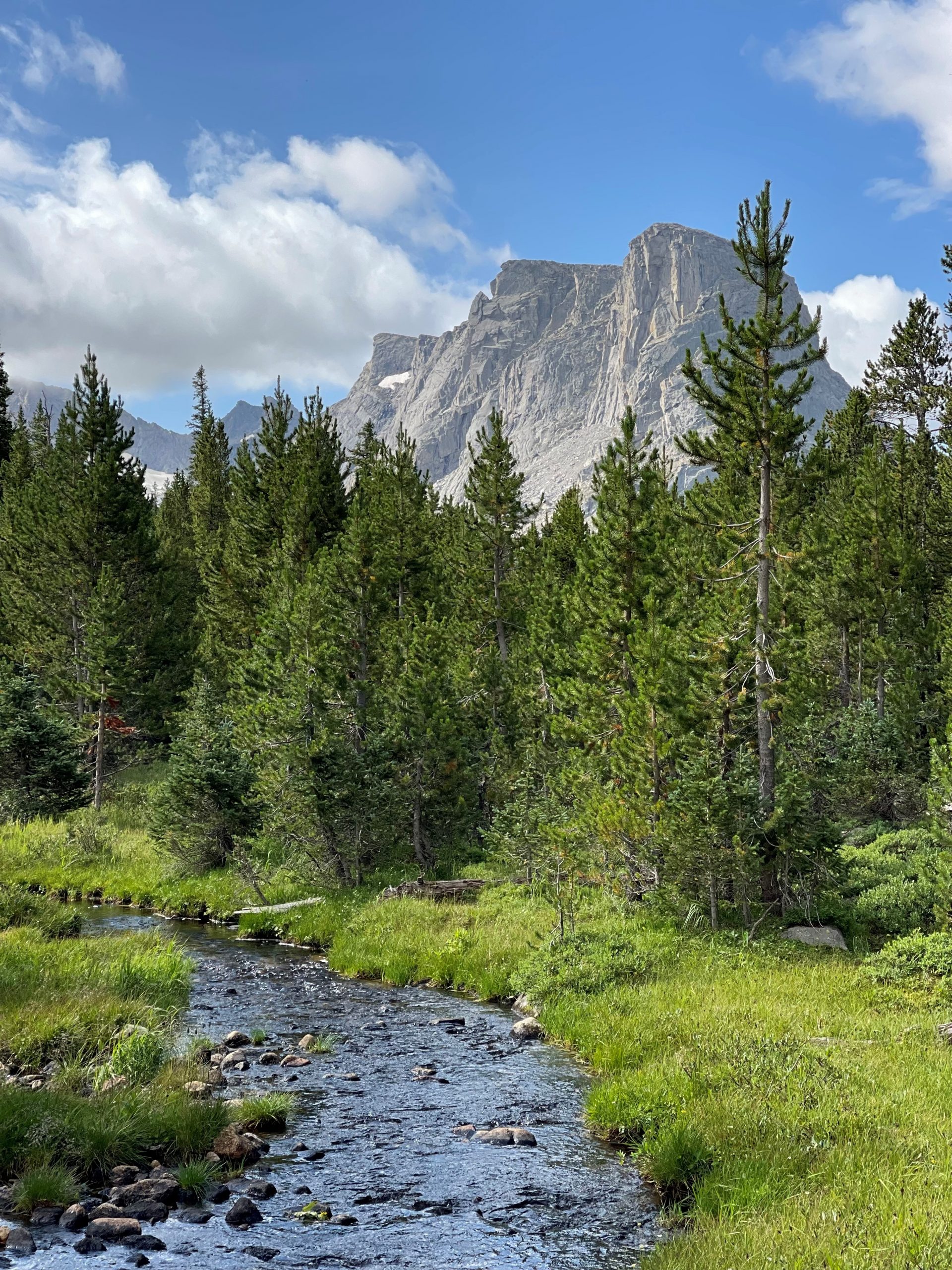 Fishing the Wind Rivers